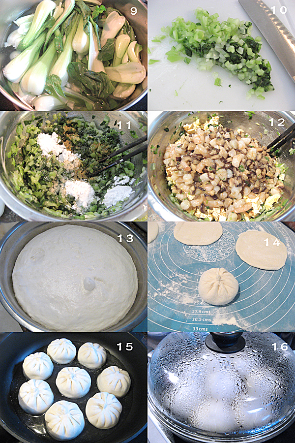 Pan Fried Shrimp and Vegetable Buns 青菜虾仁香菇豆腐煎包 | MaomaoMom® Kitchen 毛毛妈厨房