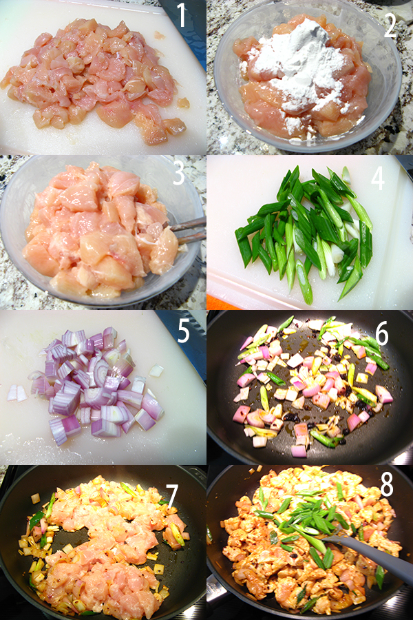 Chicken breast green onion and shallot stir fry | MaomaoMom® Kitchen 毛毛妈厨房